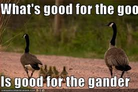 누이좋고 매부좋고 "What's good for the goose is good for the gander" : 네이버 블로그