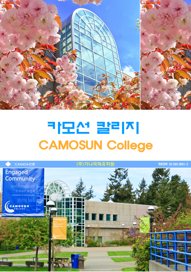 CAMOSUN College, 카모선 칼리지, 카모선 대학 컬리지 프로그램 : 네이버 블로그