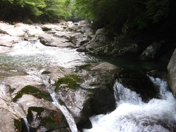 지리산 뱀사골 계곡과 이끼폭포...(2012 07 27) : 네이버 블로그
