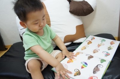 애플비 그림동화 - 꼭꼭 숨어라 (숫자도 공부하고.~~ 유아책 추천) : 네이버 블로그