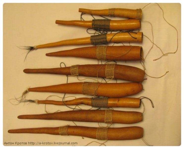 코테카(koteka,꼬떼까) : 네이버 블로그