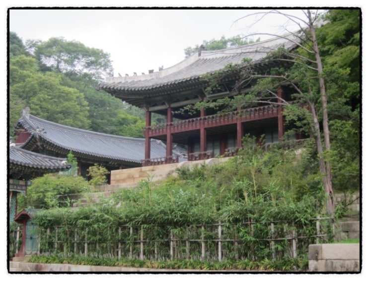 비염중이염이관기능장애 비염 중이염과 유스타키오관 이관기능 장애 네이버 블로그