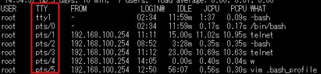 pts와 ttyp의 차이점 : 네이버 블로그