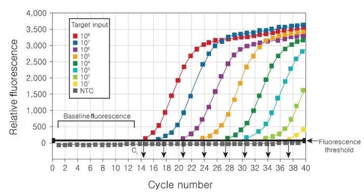 Real-time PCR - 기본에서 실전까지 chapter #1 : 네이버 블로그