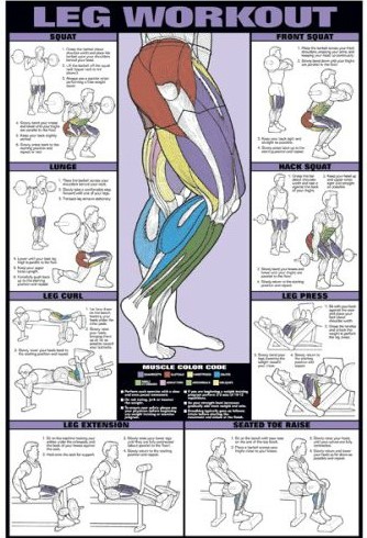 Leg Workout Chart(3383) : 네이버 블로그