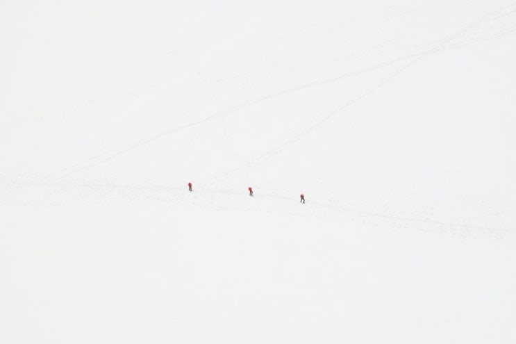 David Ryle, Ice Walkers 2011 : 네이버 블로그