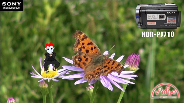 여행용 캠코더 추천, 소니 HDR-PJ710 : 네이버 블로그