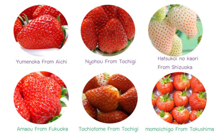Japanese Strawberry Cultivars : 네이버 블로그