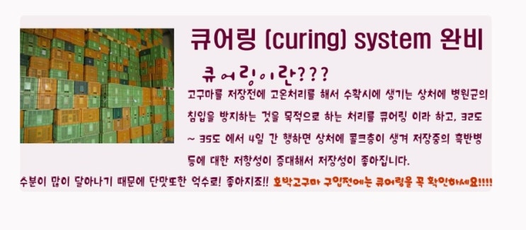 큐어링 ( curing ) 에 대하여 알아볼까요? : 네이버 블로그