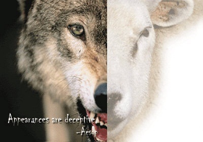 [외모에 대한 영어명언] Appearances are deceptive : 네이버 블로그