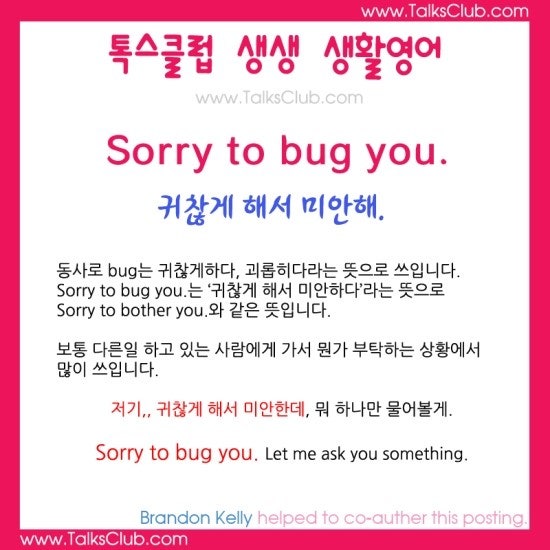 Sorry to bug you. 귀찮게 해서 미안해 [미국원어민 화상영어 톡스클럽] : 네이버 블로그