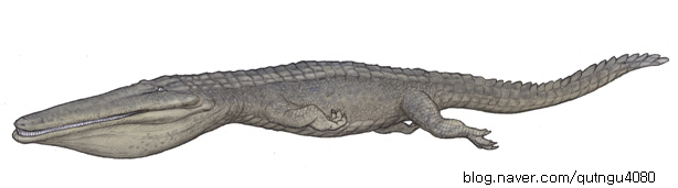 스토마토수쿠스(Stomatosuchus)-고래악어- : 네이버 블로그
