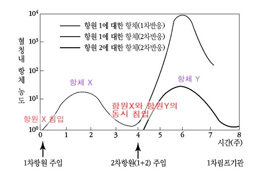 고등공통과학 고1 2 5 41강 3질병과 면역 백신과 면역계 질환 백신 에방접종의 원리 면역게질환 네이버 블로그