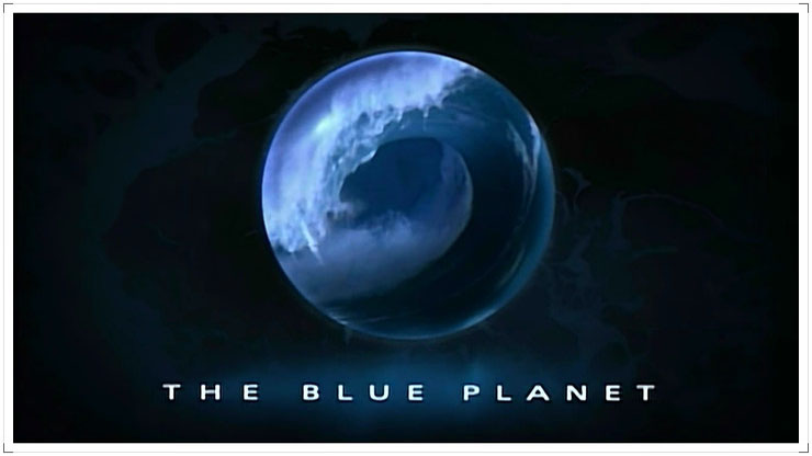 아름다운 바다 (The Blue Planet : A Natural History of the Oceans) [8부작] : 네이버 블로그