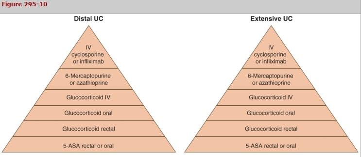 UC and CD treatment algorithm - Harrison 18th edition/Cecil 24th edtion ...