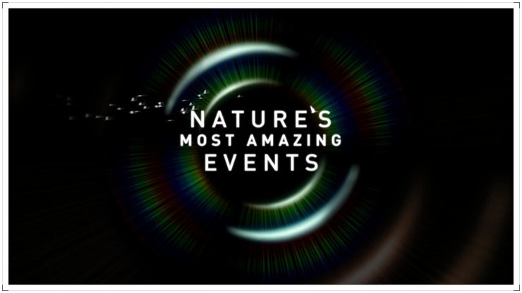 야생의 운명 (Natures Great Events, 자연의 위대한 이벤트) [6부작] : 네이버 블로그