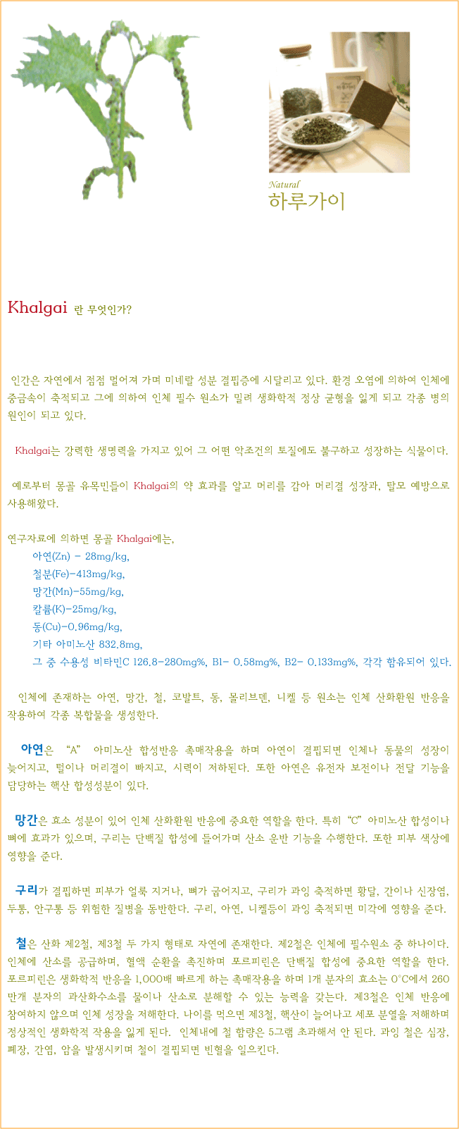 신비의 식물 Khalgai(하루가이,하르가이)란 무엇인가? 몽골 전통 탈모예방 식물 : 네이버 블로그