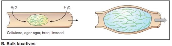 부피형성 하제 (Bulk-Forming Laxatives), 팽창성 하제 : 네이버 블로그