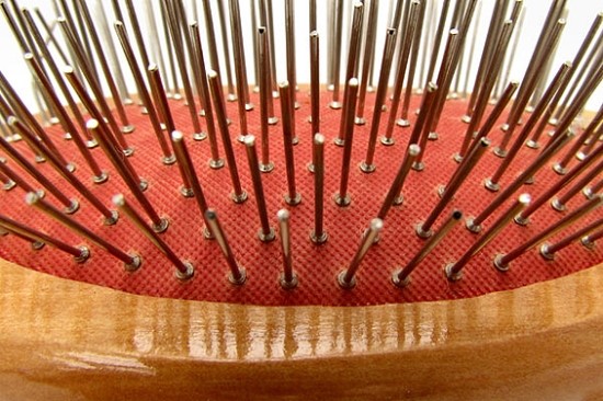 강아지 털관리 2 [강아지그루밍] : 네이버 블로그