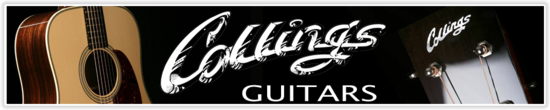 collings guitar : 네이버 블로그