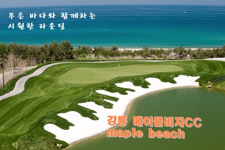 강원도골프강원도골프장 추천 강릉메이플비치 골프앤리조트메이플비치cc 네이버 블로그