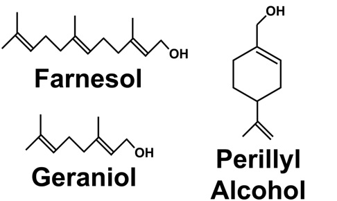 막걸리에 들어있는 성분 : 항암작용이 있는 파네졸 : 네이버 블로그