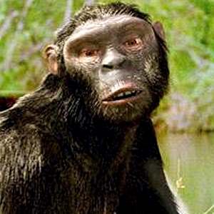 공통 조상! Orrorin Tugenesis(오로린 투게넨시스). : 네이버 블로그