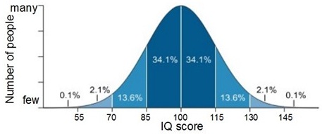 IQ test 는? : 네이버 블로그