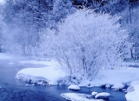 Snow Frolic(눈싸움) – 영화 Love Story 주제곡 : 네이버 블로그