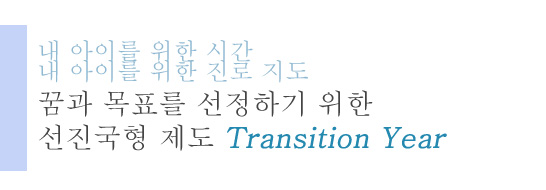 직업체험을 위한 시간, Transition Year(전환학년제) : 네이버 블로그