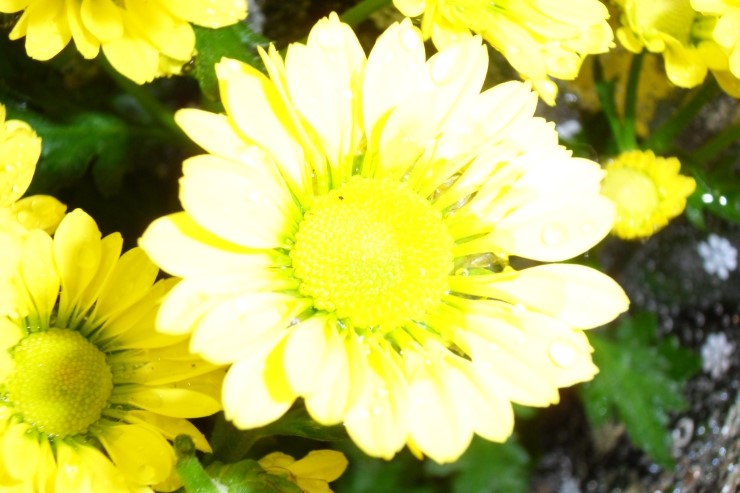 나와 너 : 네이버 블로그