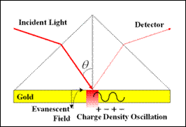 SPR Imaging System : 네이버 블로그