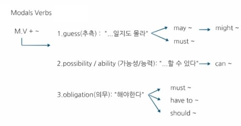 조동사(Modals verbs) must, have to, should : 네이버 블로그