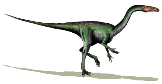 사르코사우루스 우디 (Sarcosaurus woodi) : 네이버 블로그