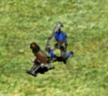 B1 드로이드 투척병(Droid grenadier) : 네이버 블로그