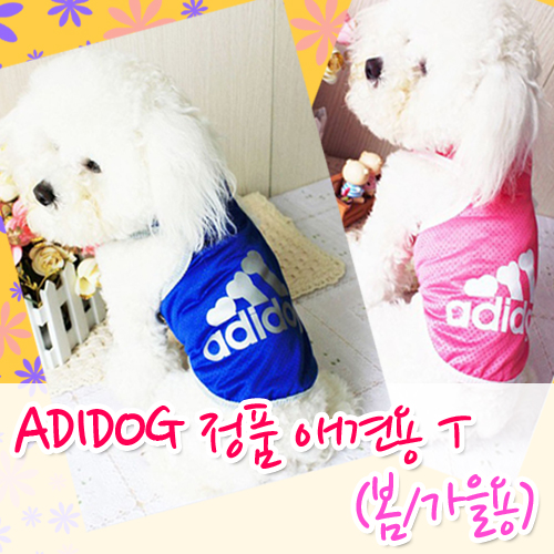 아디다스(ADIDAS)가 아닌 아디도그(ADIDOG), 이제 애완견 옷도 브랜드 시대? : 네이버 블로그
