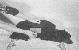 플러프 드라잉(Fluff Drying) : 네이버 블로그