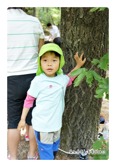 삼육대부속유치원 가족과 함께 하는 숲데이 애벌레도 만지고 숲놀이도하고 네이버 블로그