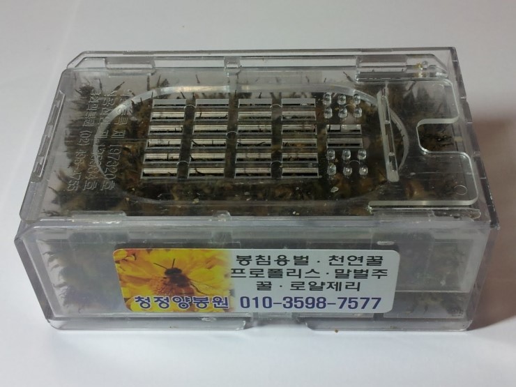 벌침용벌판매 : 네이버 블로그