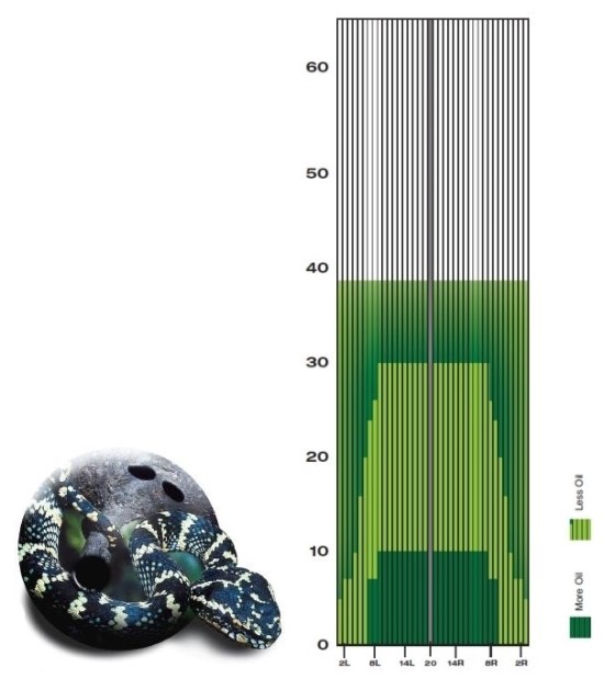 Viper Pattern . : 네이버 블로그