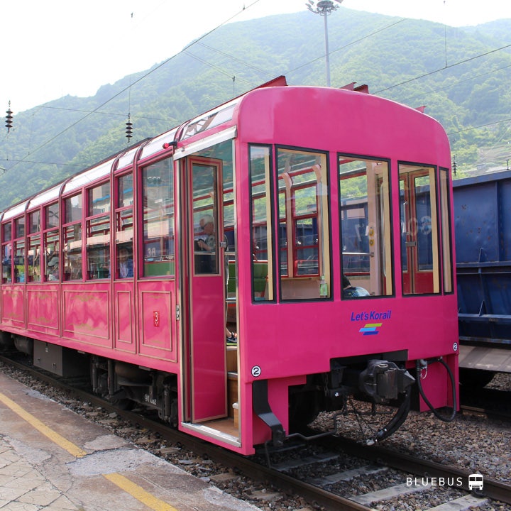 [기차여행] 백두대간협곡열차 V-train 이용기 : 네이버 블로그