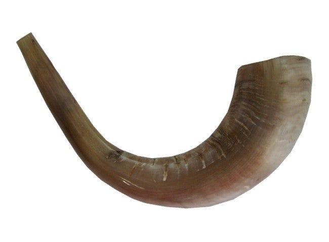 양각나팔 쇼파르 여리고 예리코 쇼파르 Jericho Shofar 네이버 블로그