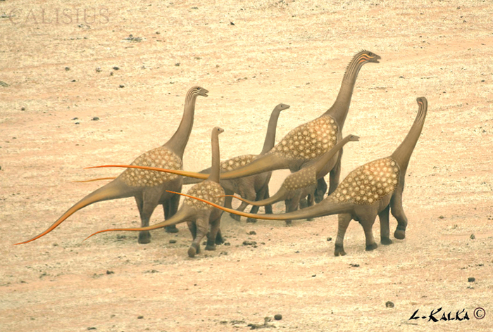 신종 용각류- 간난사우루스, 오베로사우루스 : 네이버 블로그