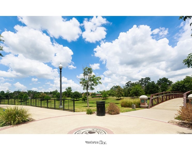 풍경사진에 담긴 인생의 두 갈래 길. : 네이버 블로그