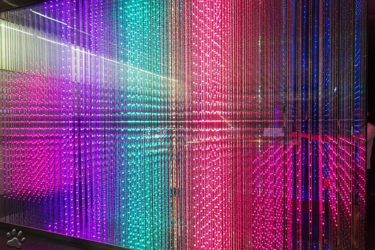 캐논 7D로 2년차에 접어들어 : 네이버 블로그