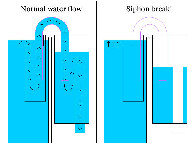 수족관 오버플러워 : 네이버 블로그