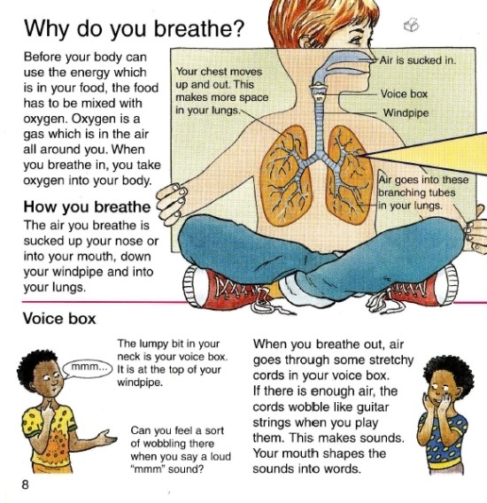 Pocket Scientist - Why do you breathe? : 네이버 블로그