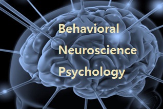 [미국대학원순위] 행동신경심리학 : 네이버 블로그