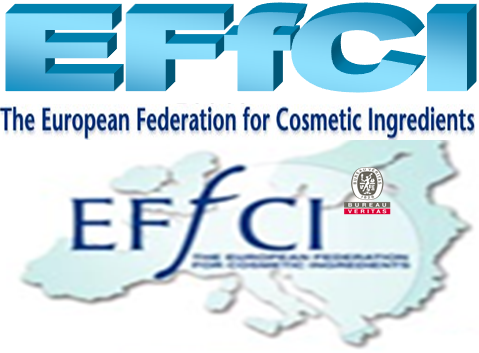 EFfCI (유럽화장품 원료협회) 심사 [BV 인증원] : 네이버 블로그