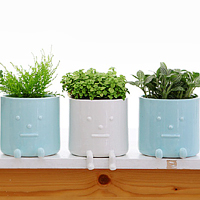 [한국브랜드] 스티키몬스터랩 SML The Pot(WHITE) : 네이버 블로그